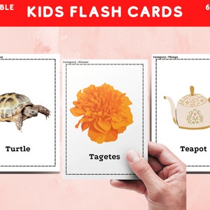 Alphabet t Flash Cards Children's Learning Material Educational Class ...