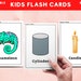 First Word Flash Cards - Letter C Alphabet Flashcards, Large Alphabet ...