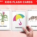 Children Class Poster - Letter U Learning Flash Cards - Kids Classroom ...