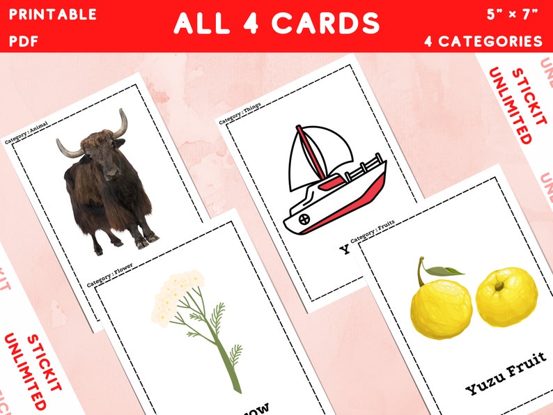 First Letter Flash Cards - Learning Flash Cards Set of 4 - Kids ...