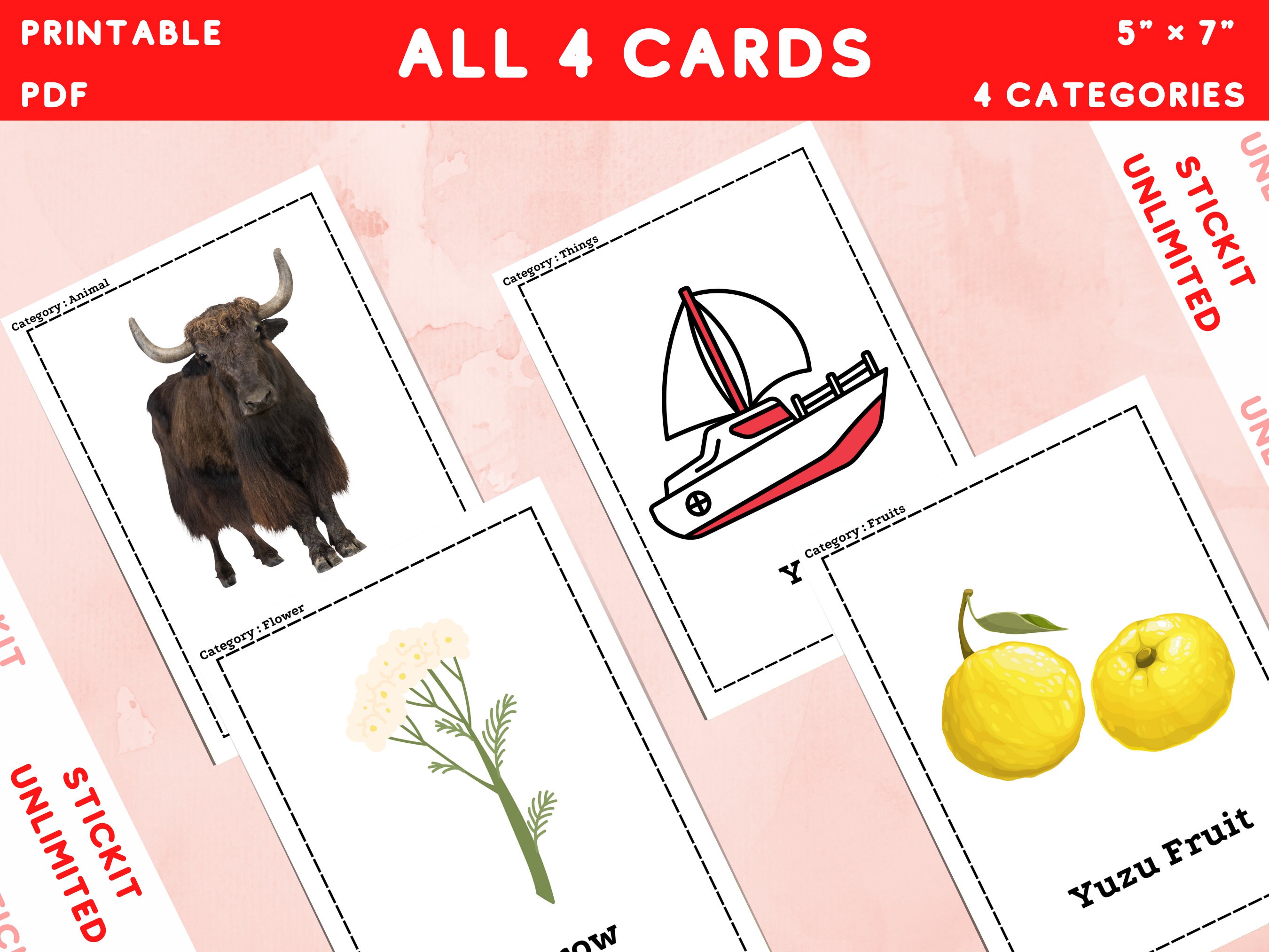 First Letter Flash Cards - Learning Flash Cards Set of 4 - Kids ...