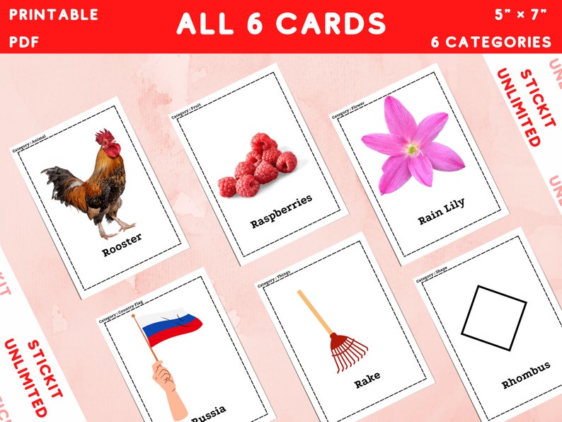 Letter R Montessori Flash Card - Infant Flash Cards - Classroom Poster ...