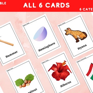 Alphabet "h" Flashcards, Large Alphabet Flash Cards Printable - ABC ...
