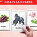 Letter G Alphabet Flashcards, Large Alphabet Flash Cards Printable ...