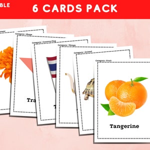 Alphabet "t" Flash Cards - Children's Learning Material - Educational ...