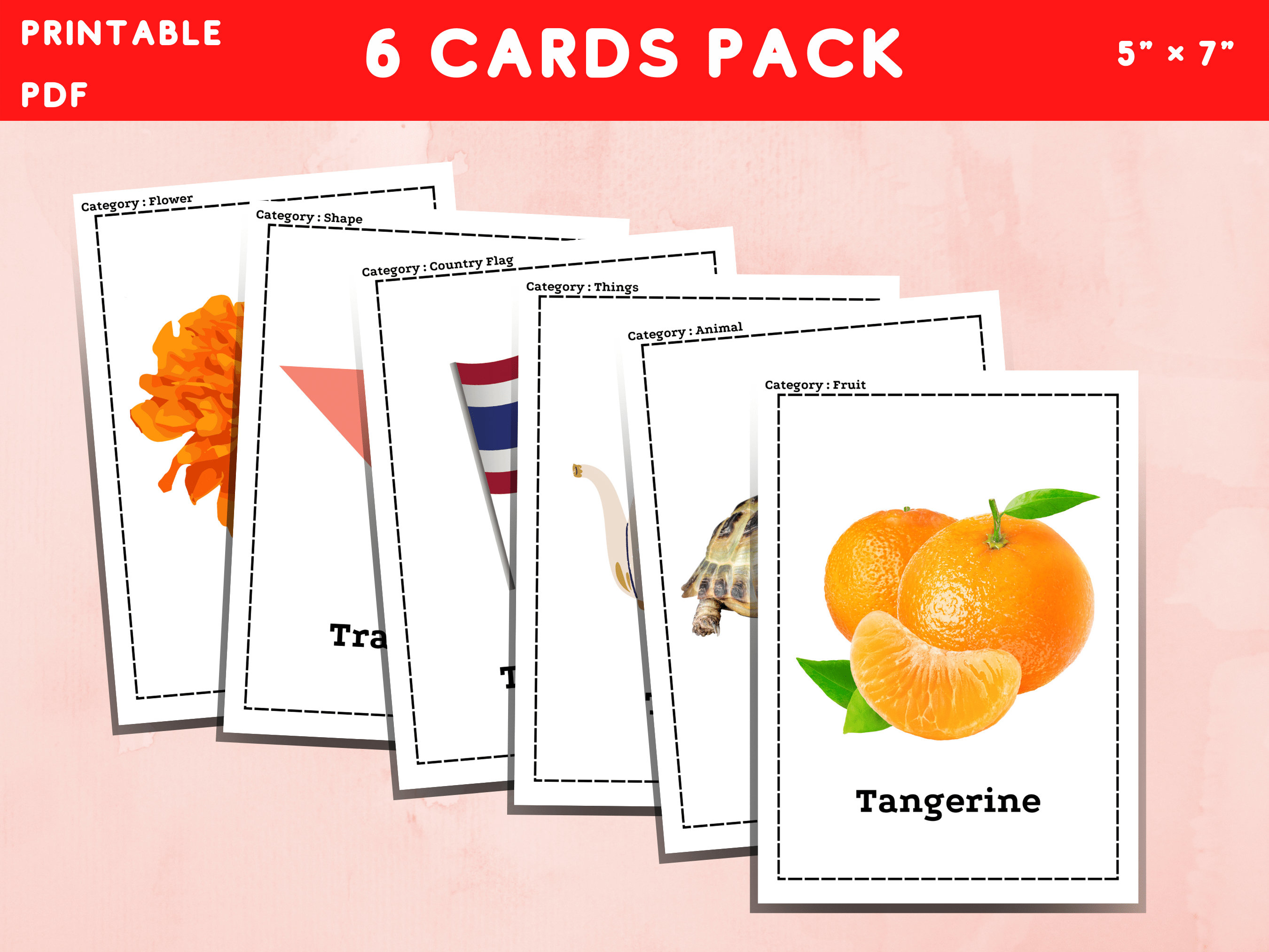 Alphabet "t" Flash Cards - Children's Learning Material - Educational ...