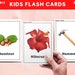 Alphabet "h" Flashcards, Large Alphabet Flash Cards Printable - ABC ...