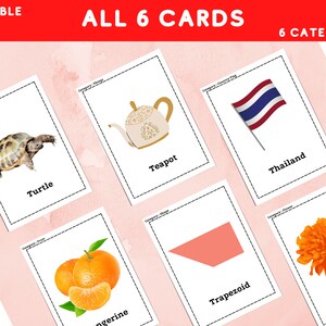 Alphabet "t" Flash Cards - Children's Learning Material - Educational ...