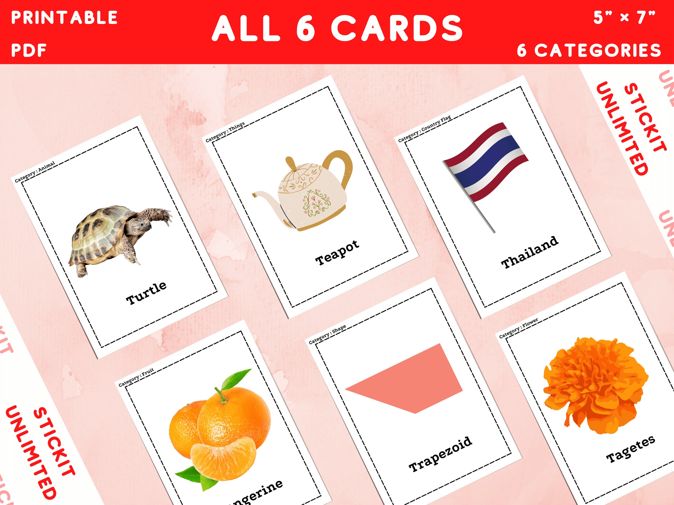 Alphabet "t" Flash Cards - Children's Learning Material - Educational ...