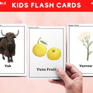 First Letter Flash Cards Learning Flash Cards Set of 4 - Etsy