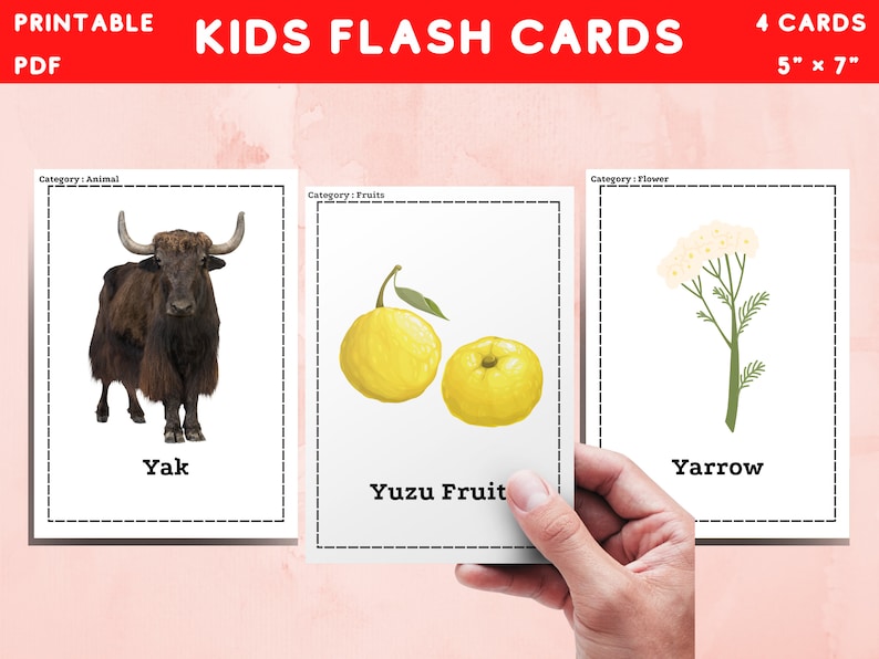 First Letter Flash Cards Learning Flash Cards Set of 4 - Etsy