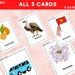 Children Class Poster - Letter Learning Flash Cards - Kids Classroom ...