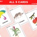 Children Class Poster - Letter U Learning Flash Cards - Kids Classroom ...