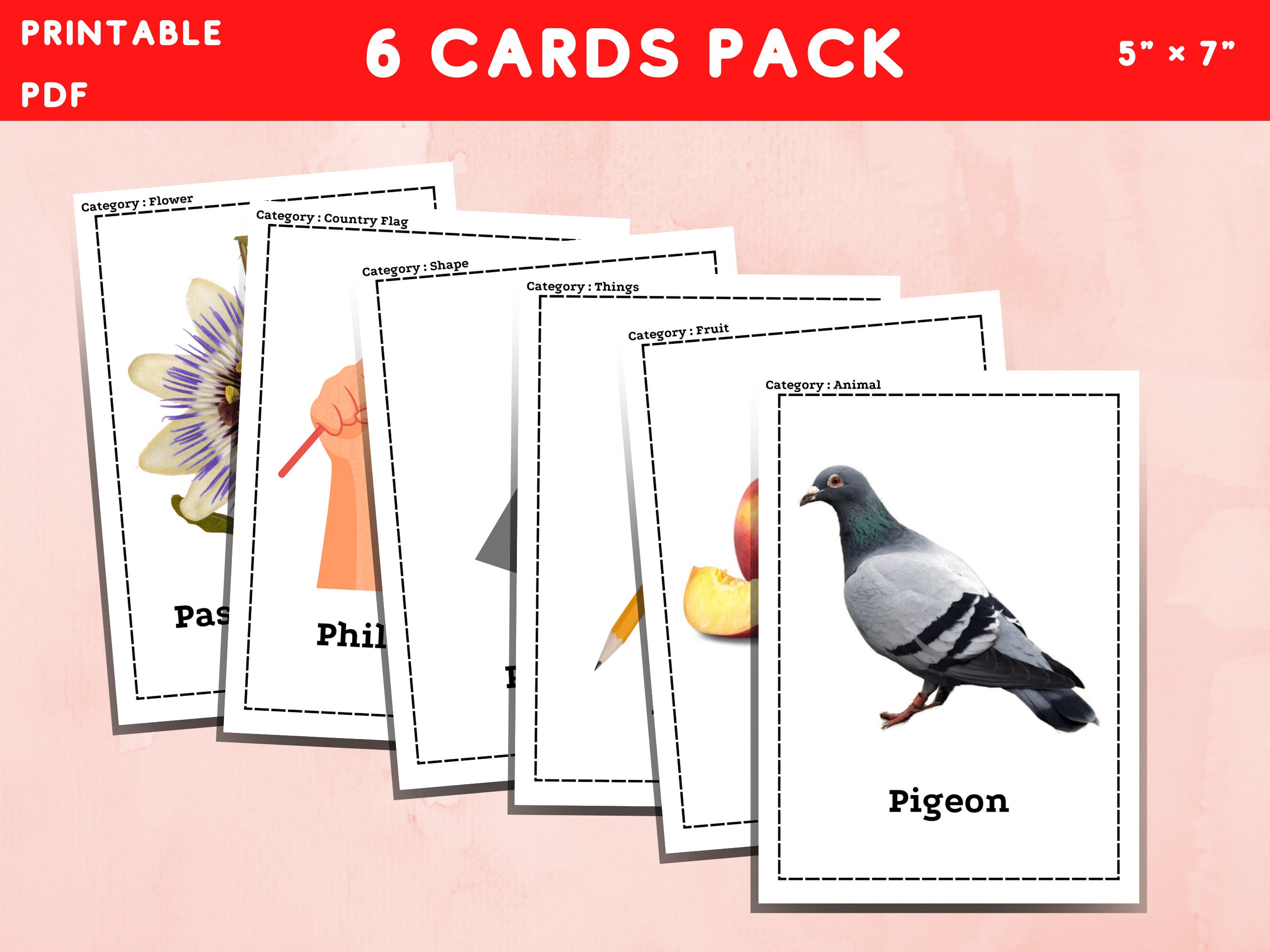Montessori Toddler Cards Printable - Picture Flashcards - Letter P ...