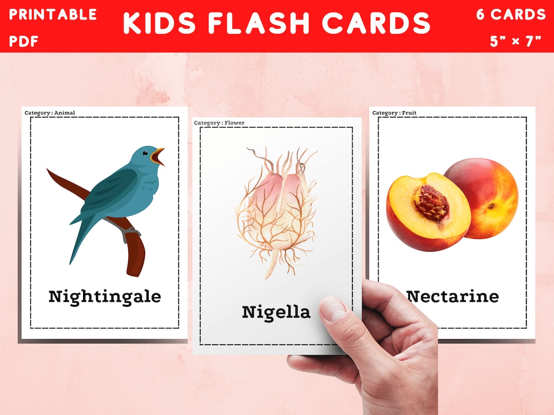 Letter N Flash Cards - Montessori Learning Material - Nomenclature ...