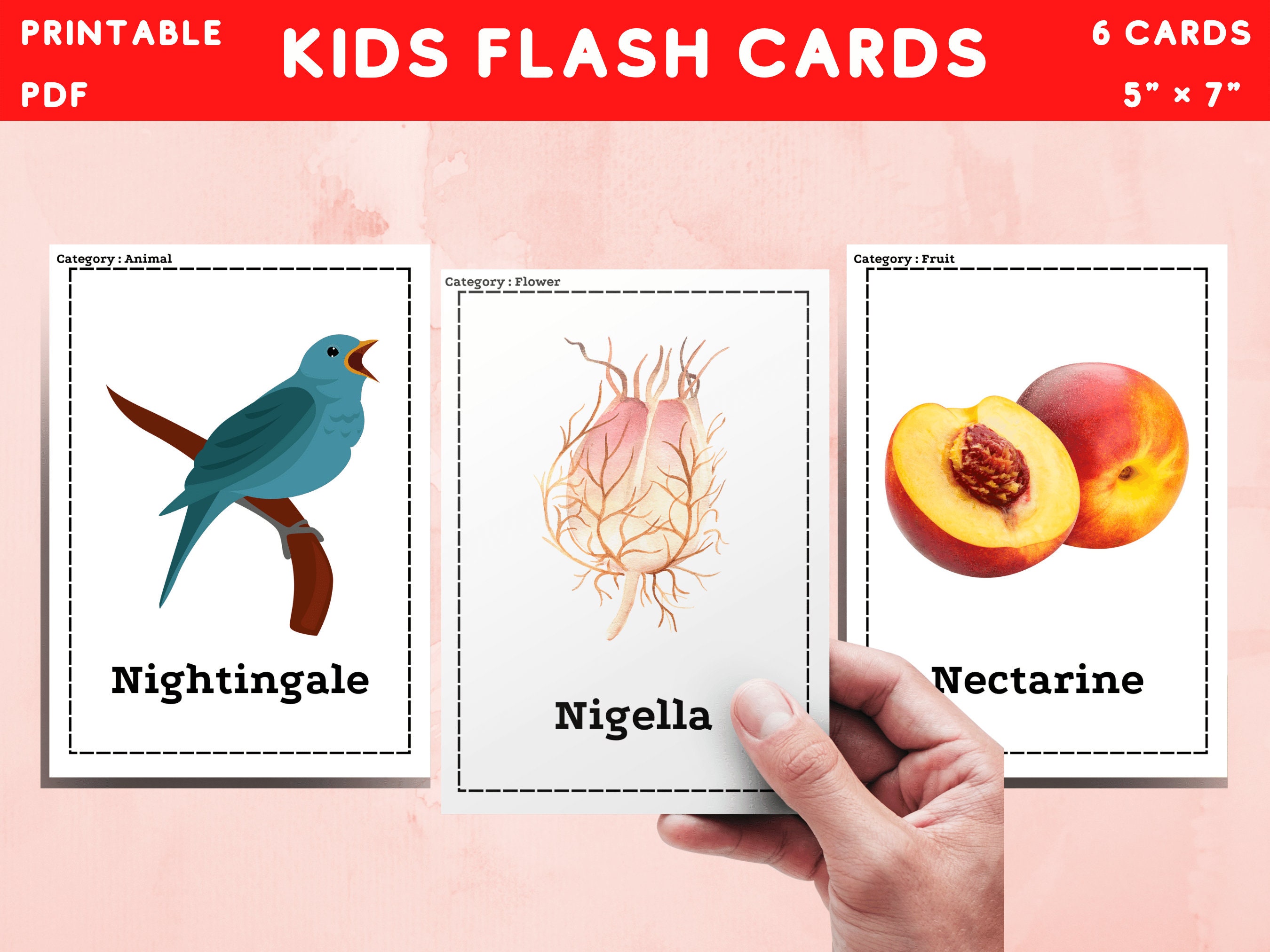 Letter N Flash Cards - Montessori Learning Material - Nomenclature ...
