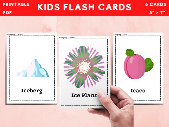 Alphabet i Flash Cards Nomenclature Flashcards - Etsy