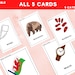 Printable Letter W Flashcard - Nomenclature Classroom Poster - Kids ...