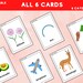6 Categories Flashcard for Kids - Alphabet Flash Cards - Montessori ...
