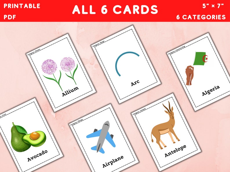 6 Categories Flashcard for Kids - Alphabet Flash Cards - Montessori ...