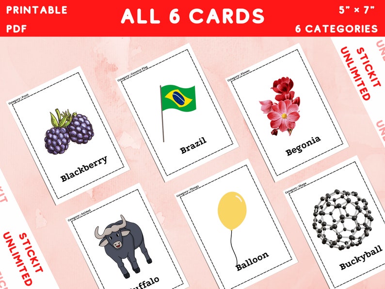 First Word Letter B Flash Cards ABC Learning Flash Cards - Etsy