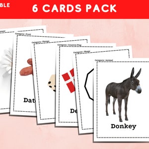 Alphabet d Flash Cards Kids Learning Material - Etsy