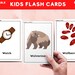 Printable Letter W Flashcard - Nomenclature Classroom Poster - Kids ...
