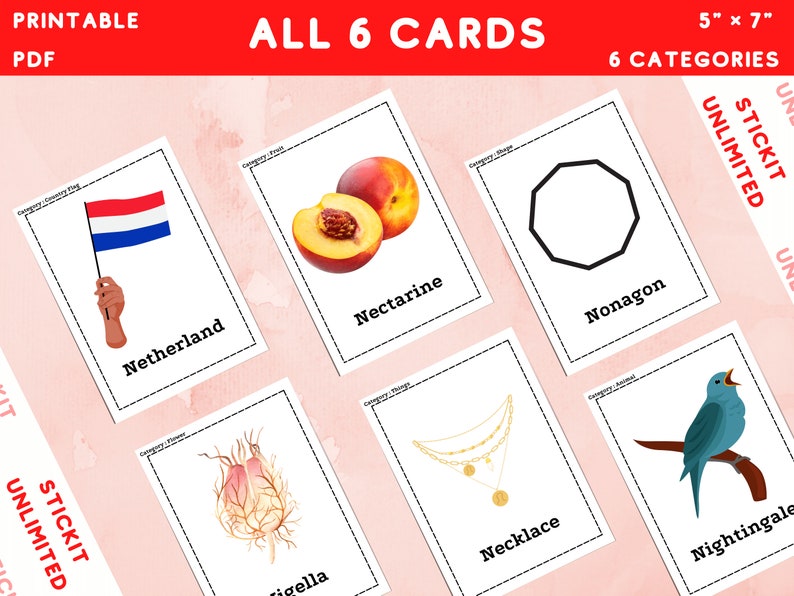 Letter N Flash Cards - Montessori Learning Material - Nomenclature ...