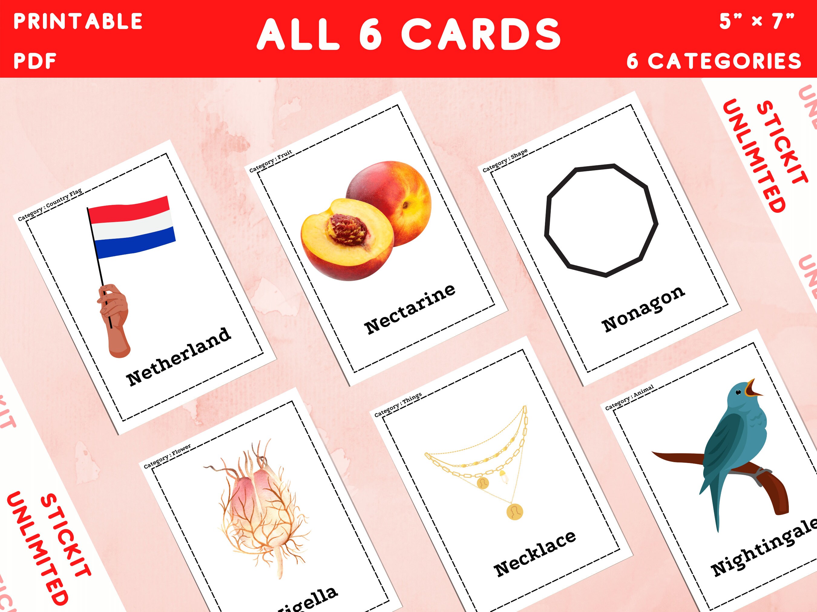 Letter N Flash Cards - Montessori Learning Material - Nomenclature ...