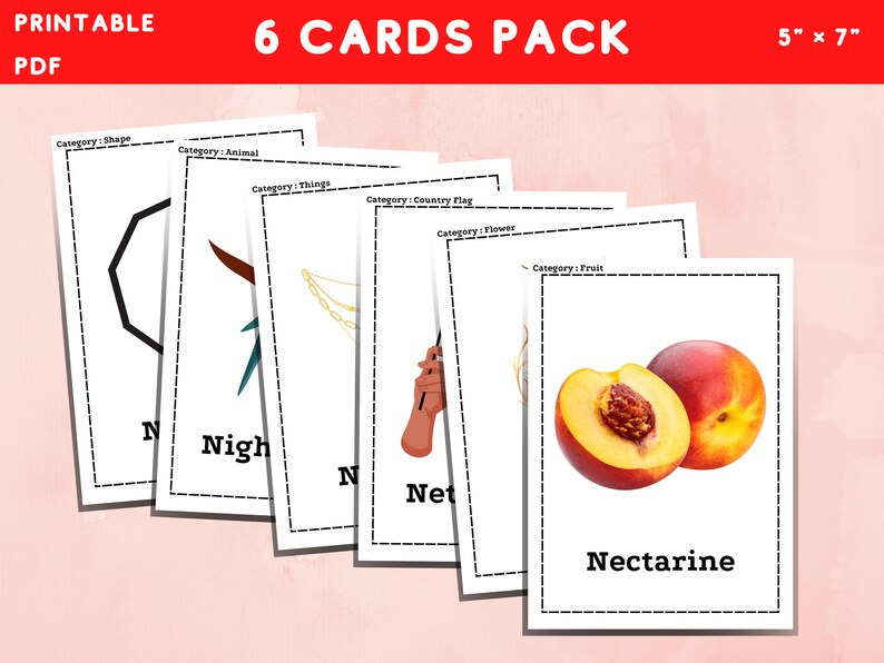 Letter N Flash Cards - Montessori Learning Material - Nomenclature ...