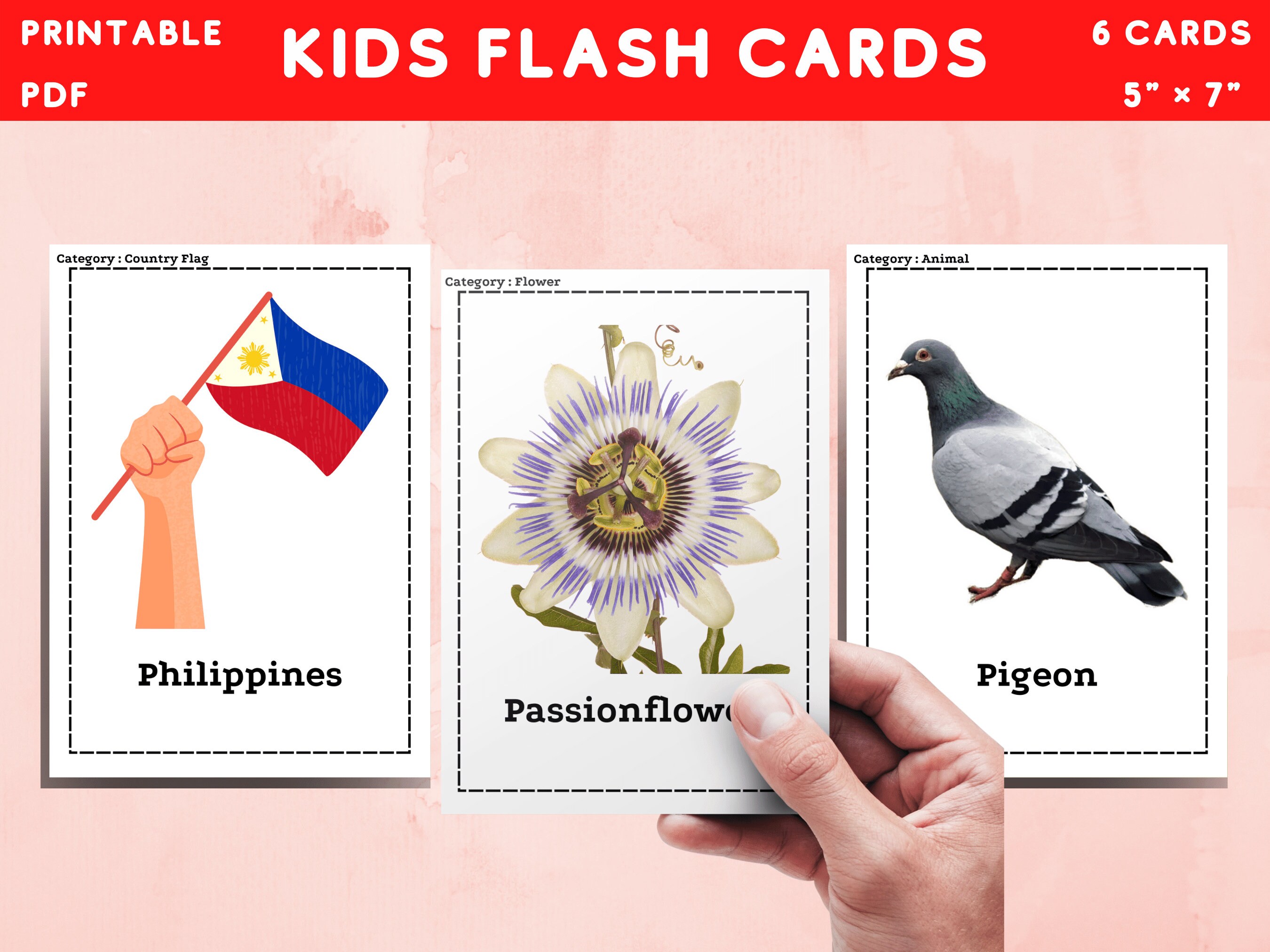 Montessori Toddler Cards Printable - Picture Flashcards - Letter P ...