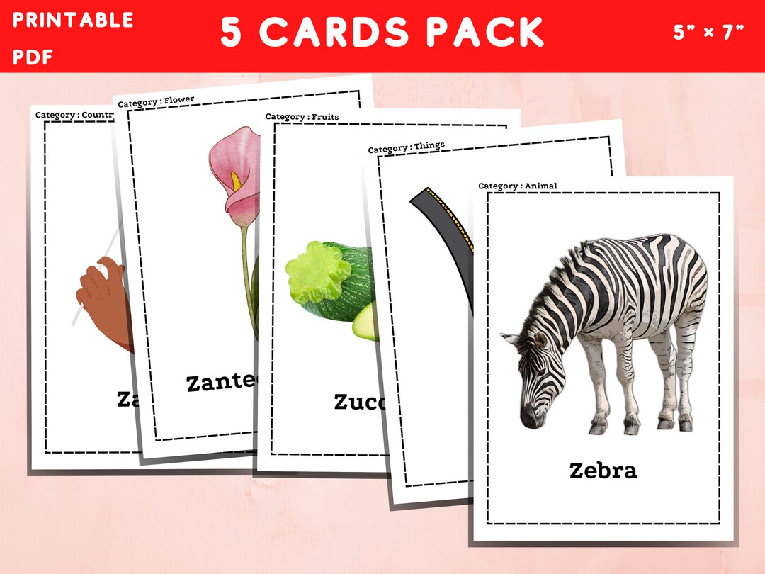Alphabet Z First Word Flashcards - Montessori Learning Material ...