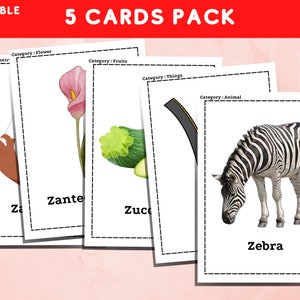 Alphabet Z First Word Flashcards - Montessori Learning Material ...