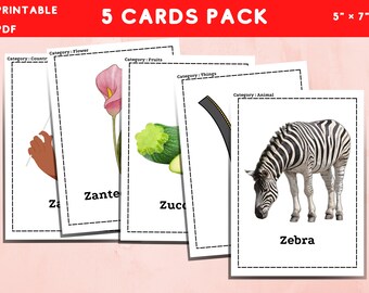 Infant Flashcards - Letter L Flash Cards - Montessori Learning Material ...