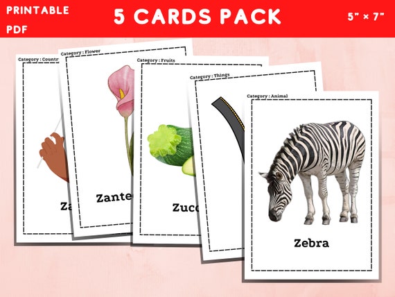 Alphabet Z First Word Flashcards Montessori Learning - Etsy