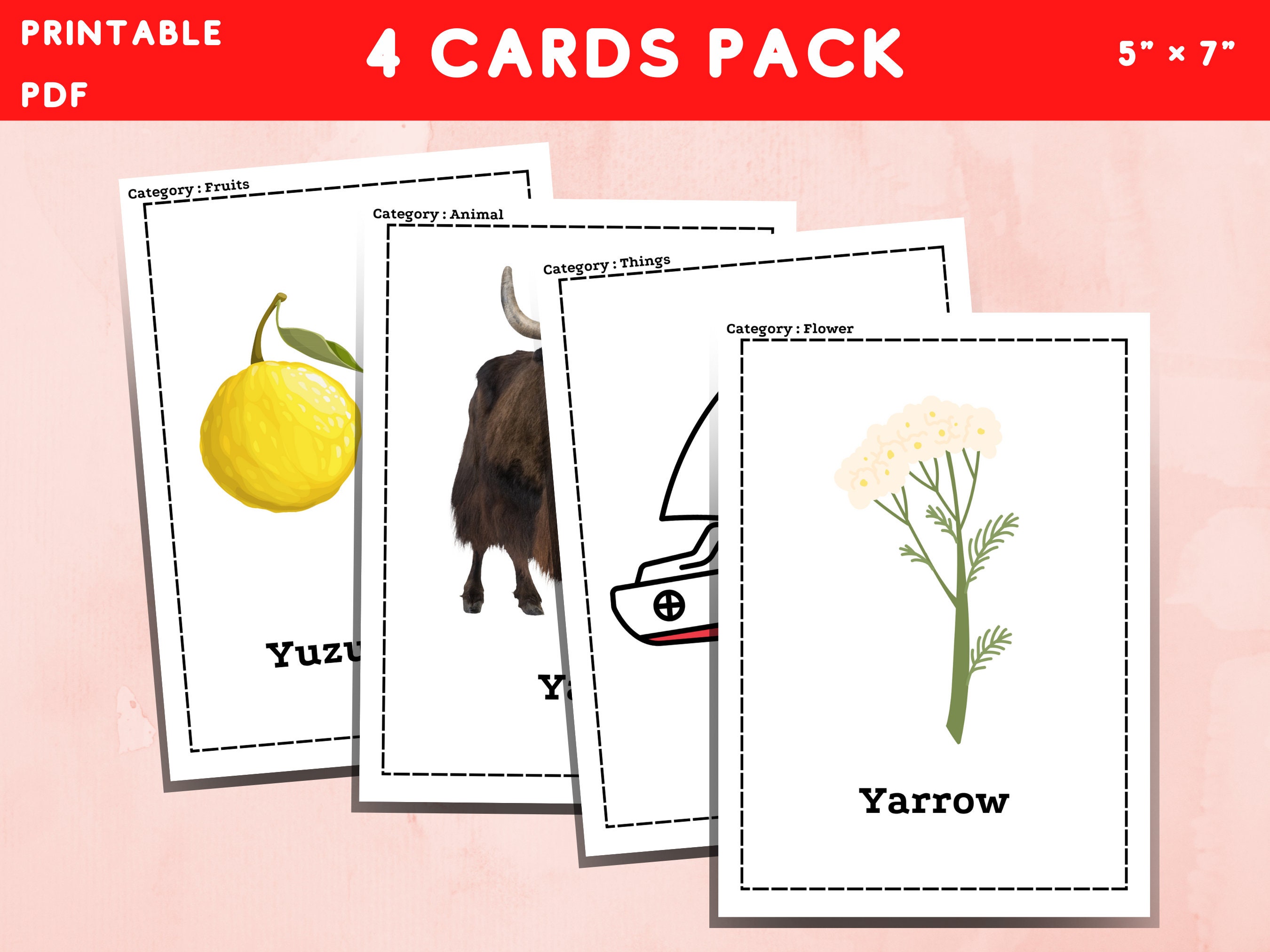 First Letter Flash Cards - Learning Flash Cards Set of 4 - Kids ...