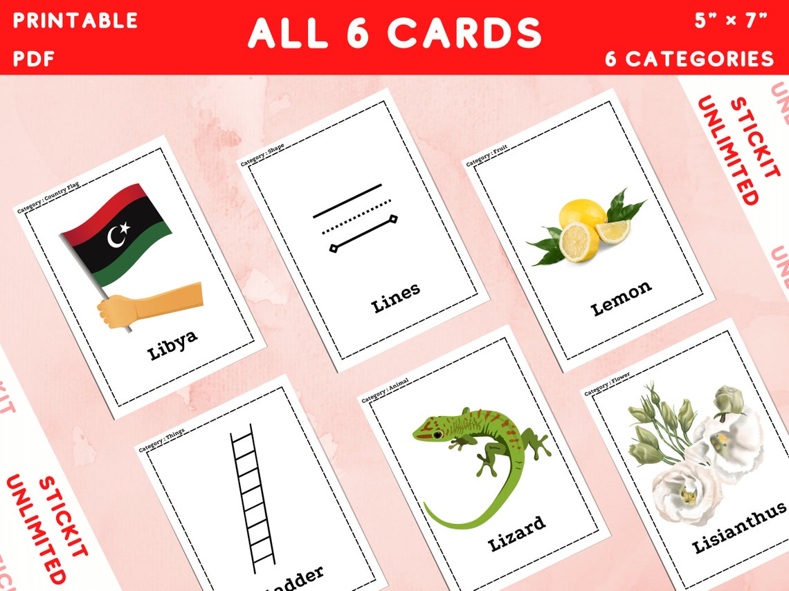 Infant Flashcards - Letter L Flash Cards - Montessori Learning Material ...