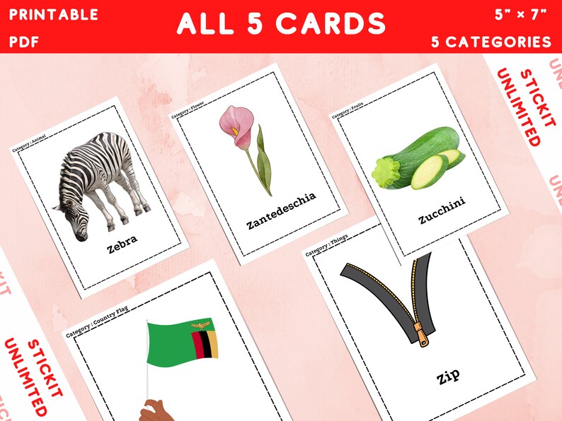 Alphabet Z First Word Flashcards - Montessori Learning Material ...