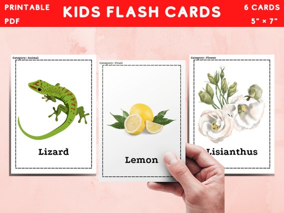 Infant Flashcards Letter L Flash Cards Montessori Learning - Etsy