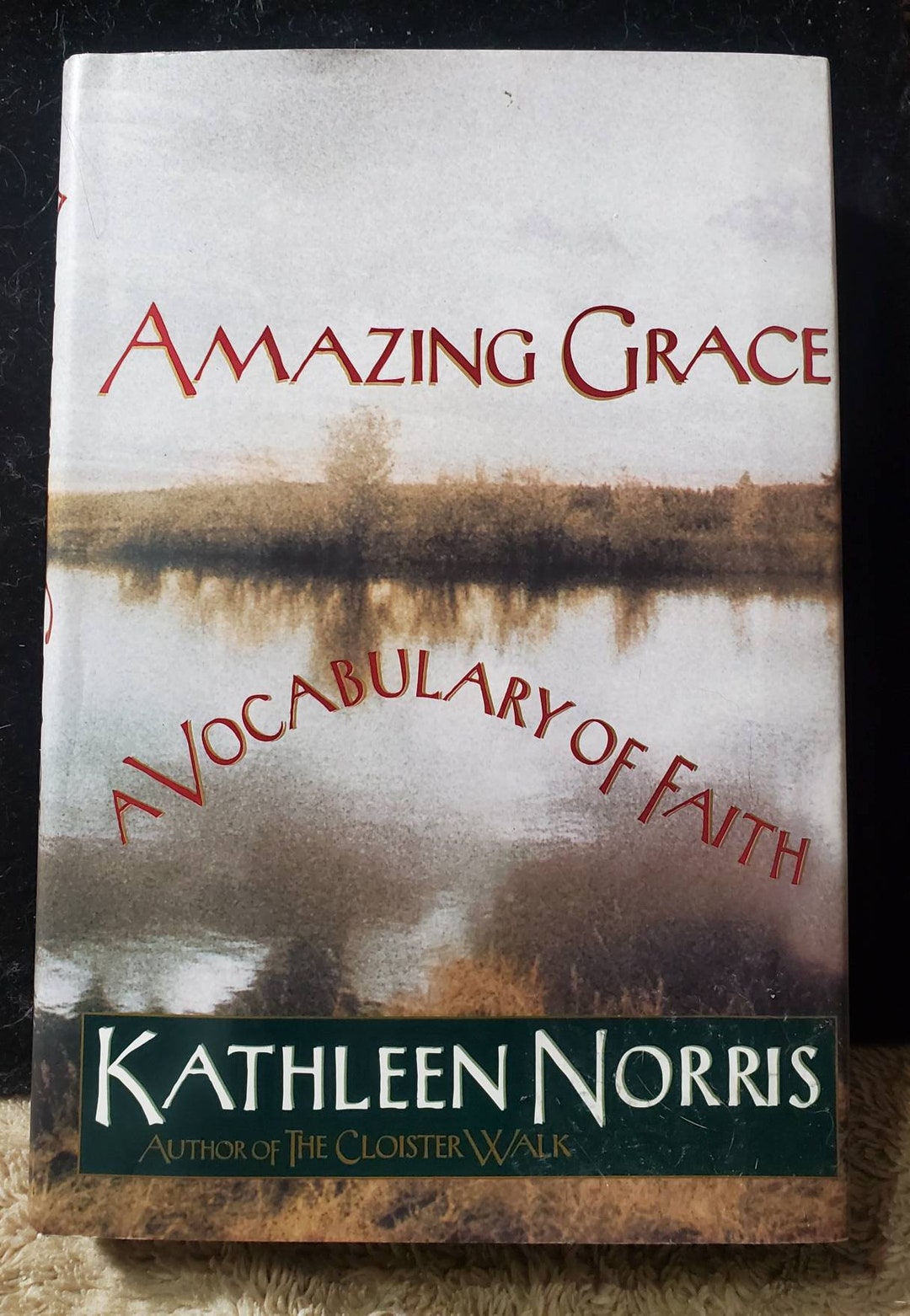 Amazing Grace A Vocabulary of Faith by Kathleen Norris - Etsy