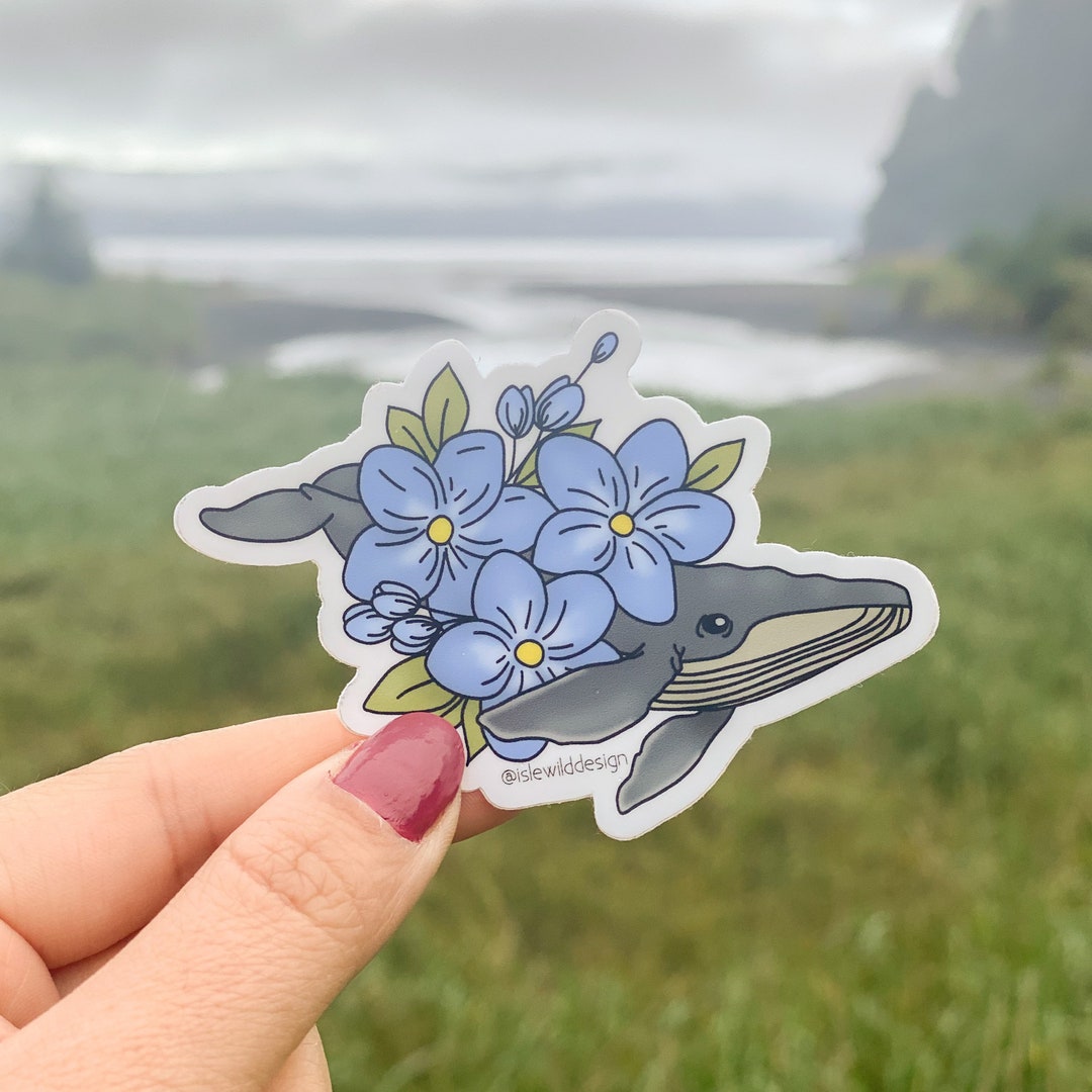 Forget-me-not Humpback Whale Sticker - Etsy