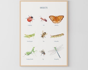 Educational Bugs Poster, Insects Print, Printable Wall Art, Montessori ...