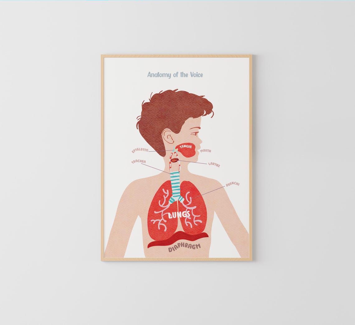 Vocal Anatomy Poster Singing Voice Guide Music Classroom Digital