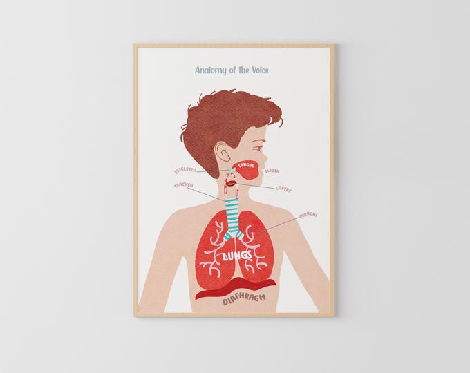 Vocal Anatomy Poster: Singing Voice Guide, Music Classroom (digital ...