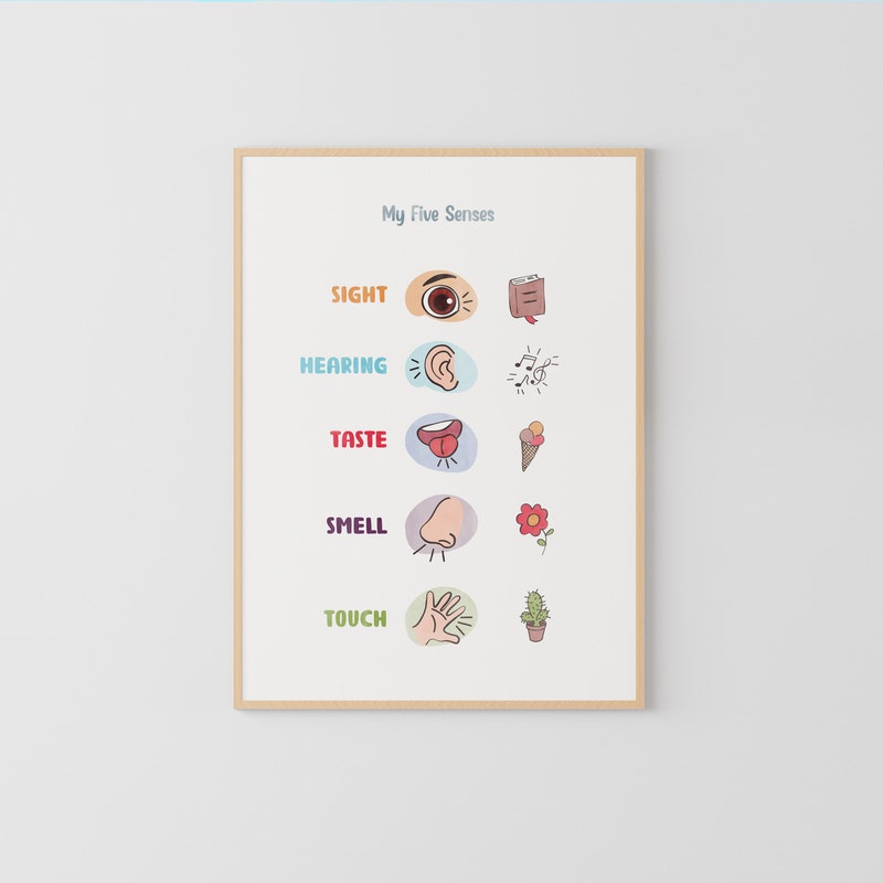 Five Senses Poster - Etsy