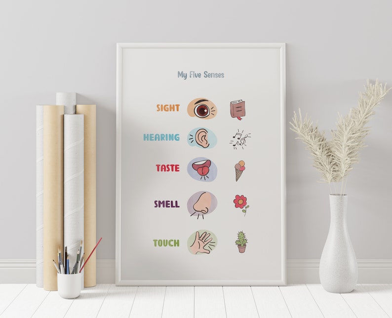 Five Senses Educational Poster: Montessori Classroom Decor (digital ...