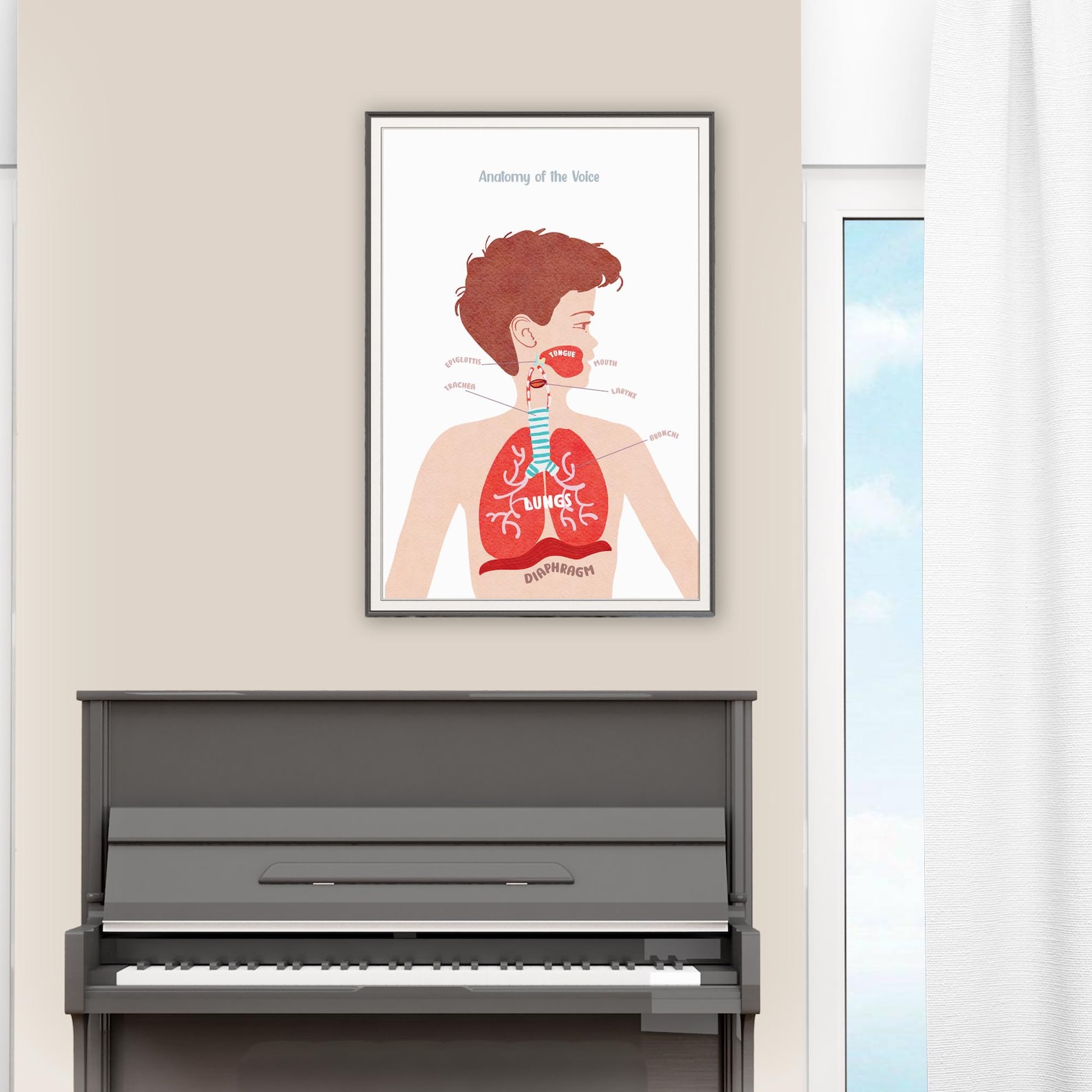 Vocal Anatomy Poster: Singing Voice Guide, Music Classroom (digital ...