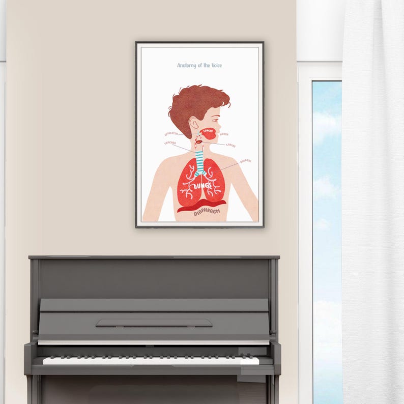 Vocal Anatomy Poster: Singing Voice Guide, Music Classroom (digital ...