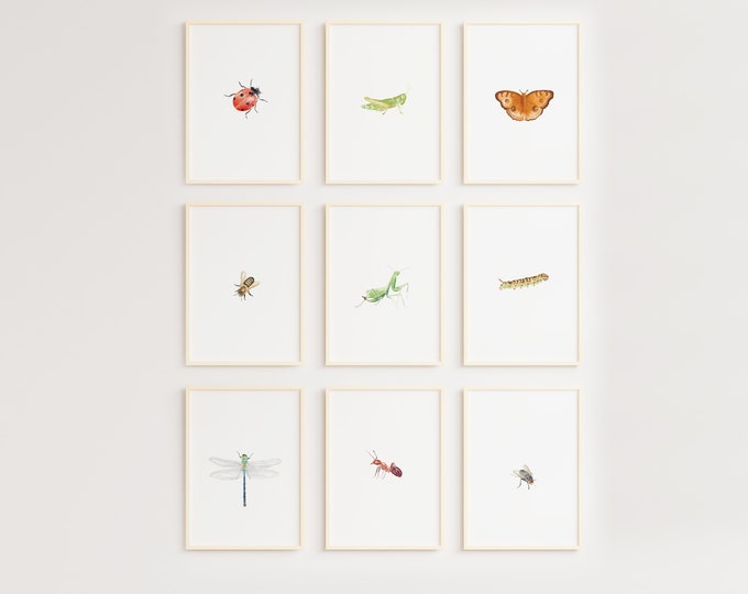 Educational Bugs Poster, Insects Print, Printable Wall Art, Montessori ...