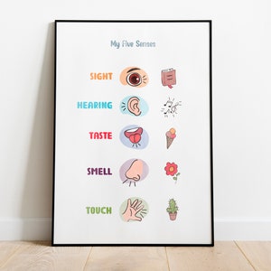 Five Senses Educational Poster: Montessori Classroom Decor (digital ...